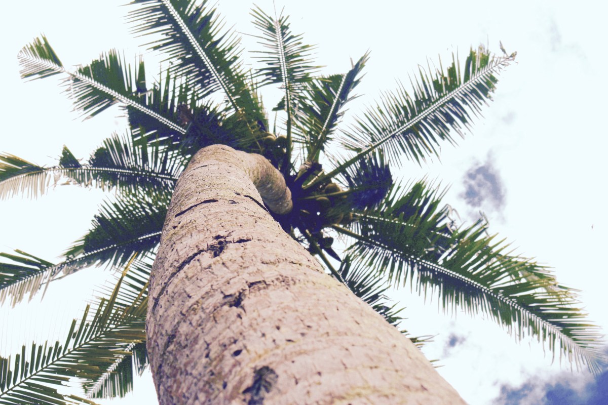 Win a writing holiday – Writing Retreat Bali